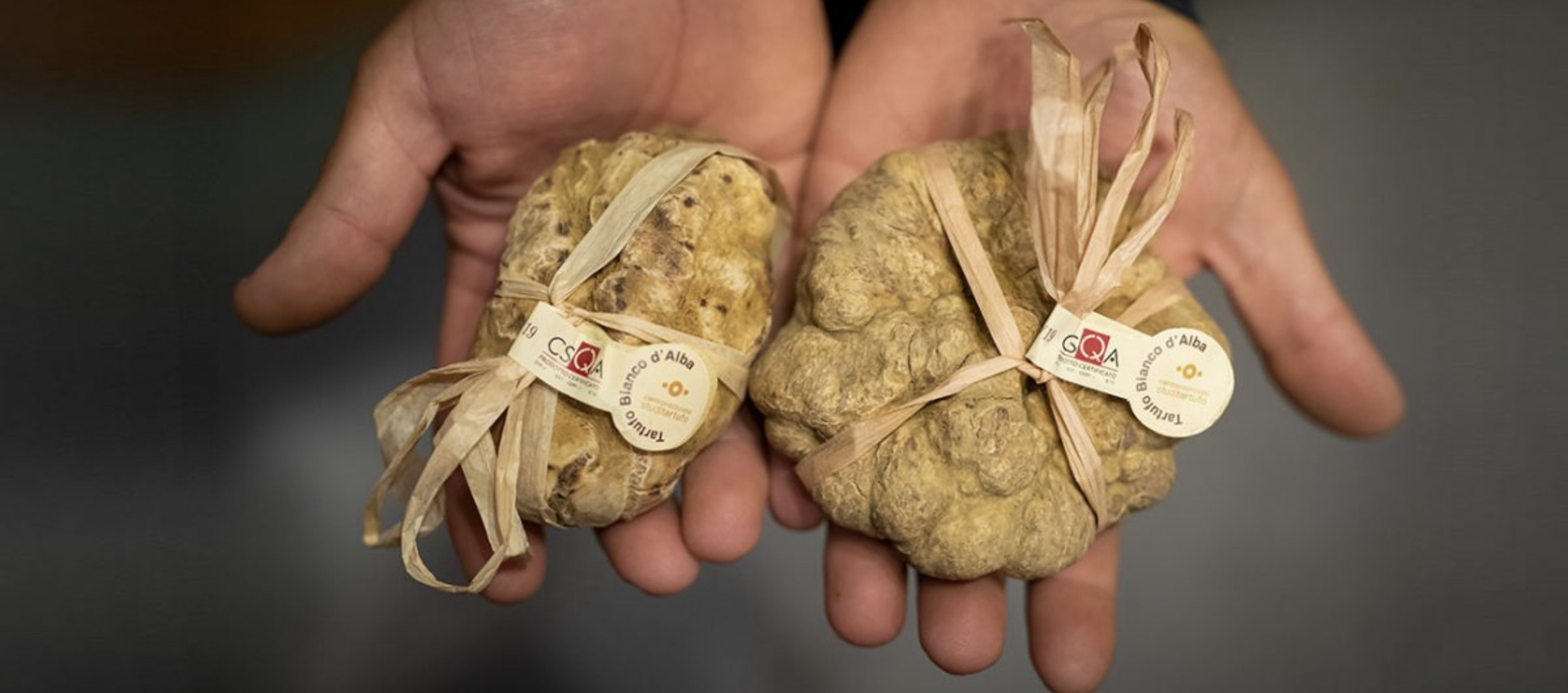 Turn your truffles into gold - Truffis