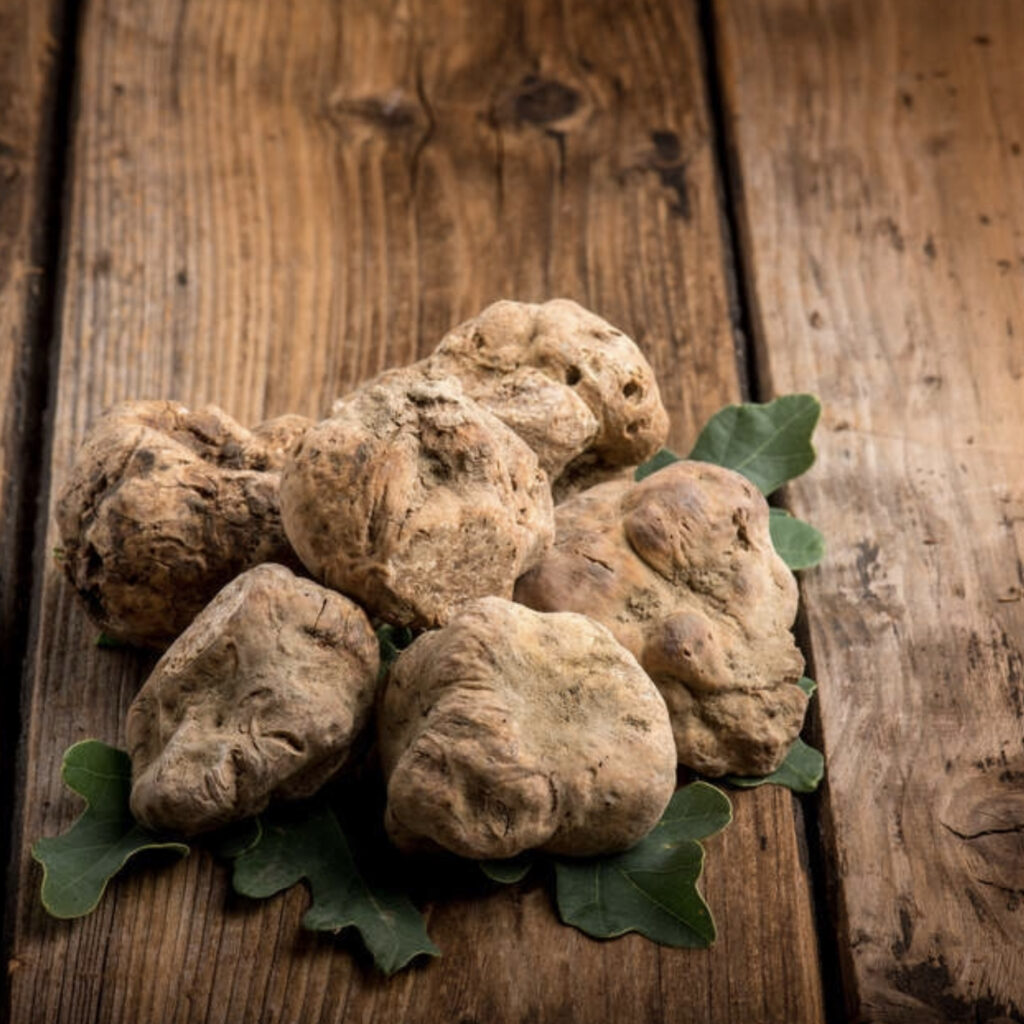 Apueste por trufas de primera calidad con una rentabilidad de 9 años ...